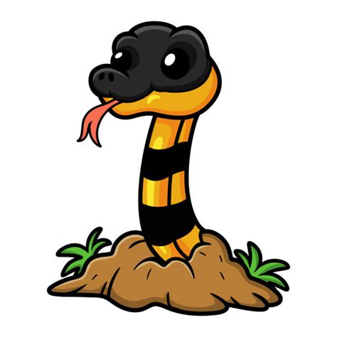 110 Krait Ilustrasi Grafik Vektor And Clip Art Bebas Royalti Terbaik