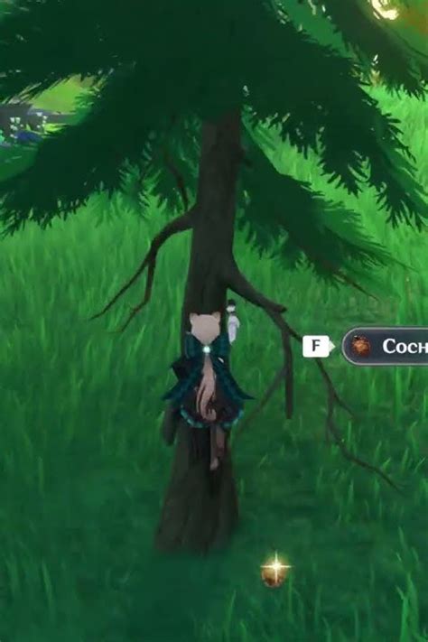 Genshin Impact Скрытый сундук Фонтейн 4 1 Новый Исследовательский институт Youtube