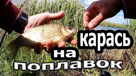 карась на поплавок - YouTube