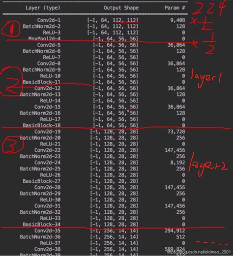 18 图像分类、分割分类和分割 Csdn博客