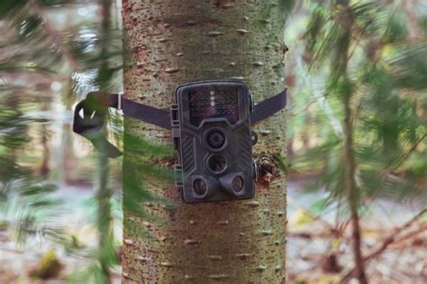 Premium Photo Hidden Camera In The Forest That Turns On When Wild