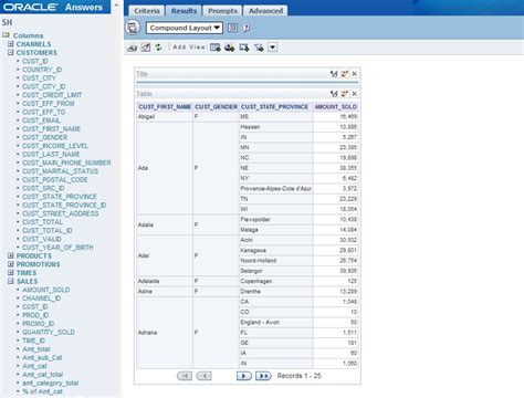 Obieebyexample How To Filter Data In Obiee 10g