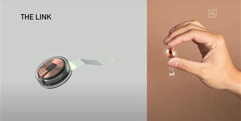 Elon Musk 2020 Update Neuralink N2 Link 1 C TESLARATI