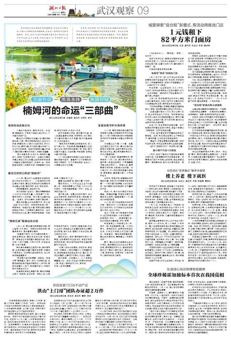 武汉观察 湖北日报