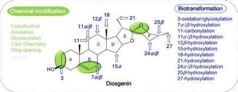 薯蓣皂苷元衍生物的化学合成、生物催化和生物学评价的最新进展——综述 Steroids X Mol
