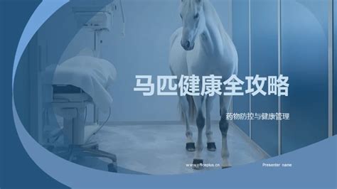 马匹健康全攻略 Ppt模板下载
