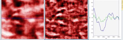Scanning Probe Microscopy SPM AFM Processing Image Analysis