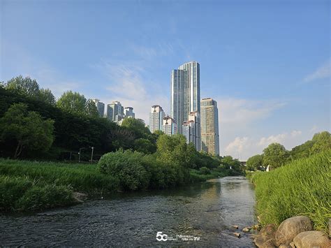 강남구청 공식 인스타그램 양재천 에 찾아온 5월의 초록💚 싱그러운 초록빛으로 물든 양재천 지금이 가장 예쁠 때예요🌿 잠시