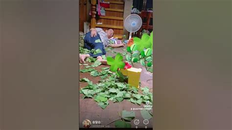 잠자고있는동안 손자가~~~ Youtube