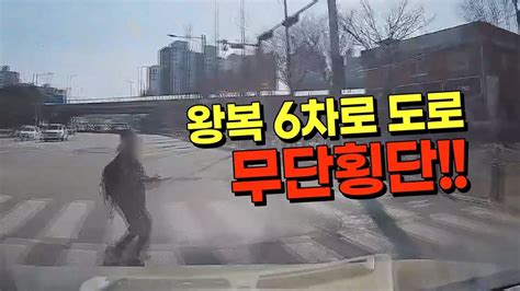 21647회 왕복 6차로 도로 무단횡단 사고 운전자 과실 0 입니다 Youtube