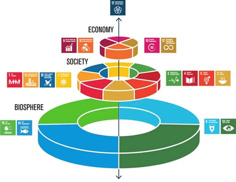 17 Goals Towards Sustainable Development And Transformation Msfi