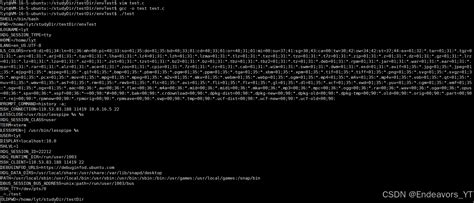 Linux系统中的环境变量简单理解linux系统启动时一定会调用的环境变量是什么 Csdn博客