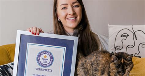 Prestes A Completar 27 Anos Gata Britânica Recebe O Título De Mais Velha Do Mundo Gzh