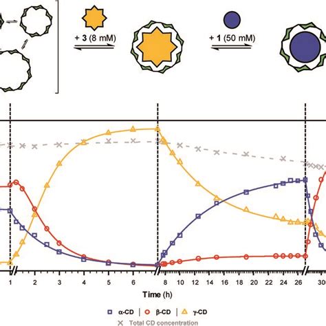 Sequential Interconversion Of Cyclodextrins Cyclodextrin Distribution