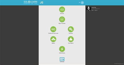 A Review Of Sololearns Online And Mobile Learning Platform For Coders