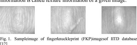 figure 1 from a finger knuckle print classification using svm and k