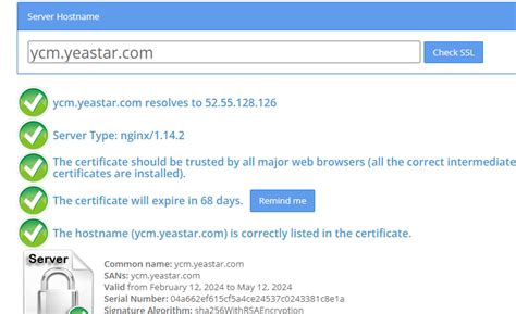 How To Get The Full Certificate Chain For Ycm Portal And Valid Certificate Chain Yeastar Support