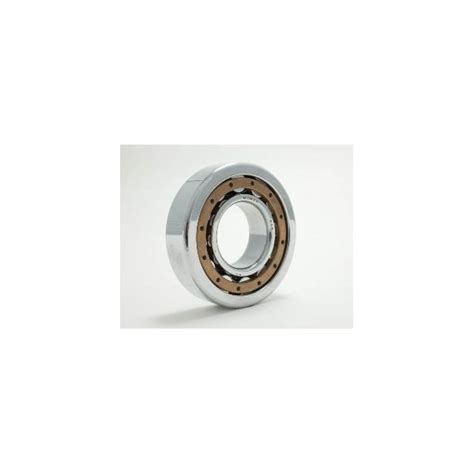 Consolidated Bearings Cylindrical Roller Bearing RLS RLS Zoro