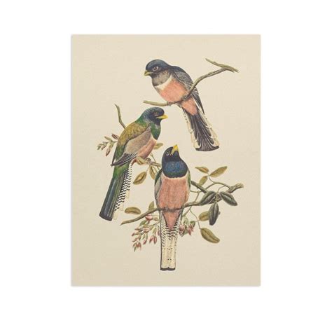 Avoi Vintage Wall Art Song Bird Classical Canvas Painting Nature