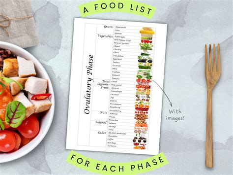 Cycle Syncing Nutrition Guide And Recipe Binder Cycle Sync Etsy