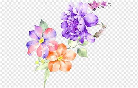 보라색 빨간색과 분홍색 꽃잎 꽃 예술 꽃 무늬 디자인 수채화 그림 일러스트 모란 꽃 배열 그린 바이올렛 Png Pngwing