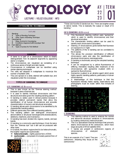 Lec 11 Cytogenetic Technique Pdf