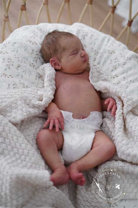 Australian Plangon Antique And Modern Doll Collectors Club Inc Added A