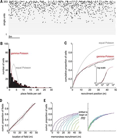 Large Environments Reveal The Statistical Structure Governing
