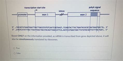 [solved] Transcription Start Site Polya Signal Intron Sequence Promoter
