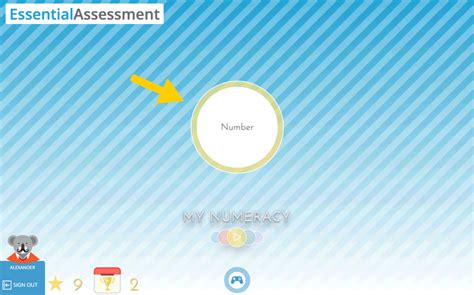 Design Essential Assessment