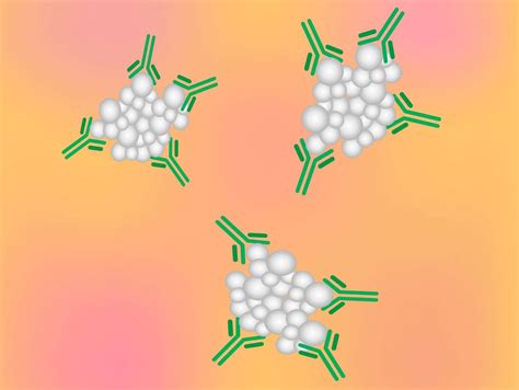 Pk Assay Development Service Creative Diagnostics