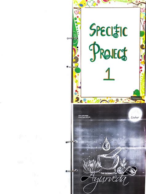 Segment Reporting Double Pdf Financial Economics Income