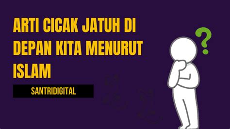 Arti Cicak Jatuh Di Depan Kita Menurut Islam Santri Digital