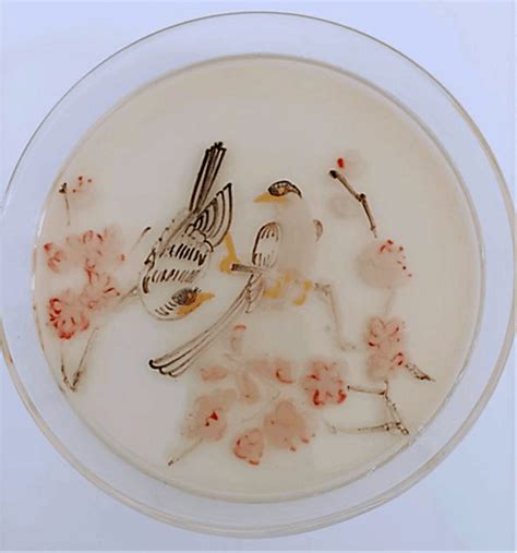 我校学生作品在第六届全国微生物培养皿艺术大赛中获金奖 安庆师范大学