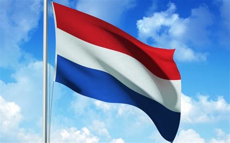 Portfolio Nederlands