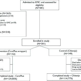 Selection Flow Diagram Download Scientific Diagram
