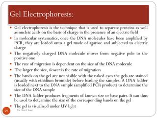 Molecular Systematics Pdf