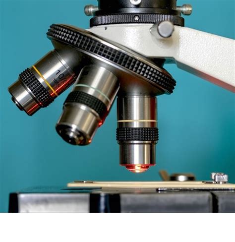 American Society For Microbiology
