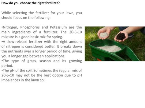 Ppt How To Fertilize Your Lawn Properly Powerpoint Presentation Free