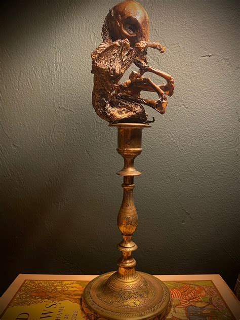 Mummified Fetal Goat Stillborn Mantel Piece Etsy