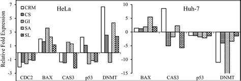 transcript expression analysis of key cancer linked genes expression