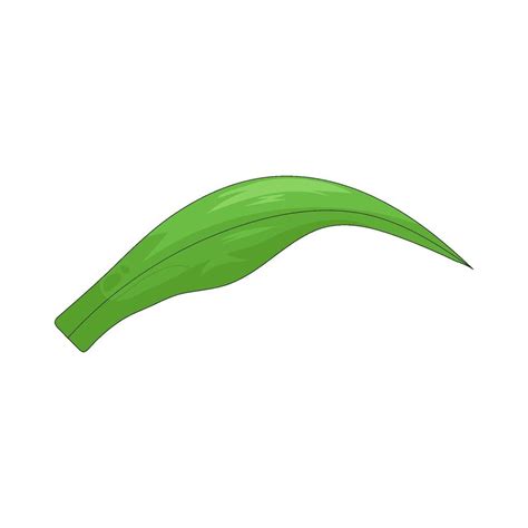 Illustration Of A Single Green Grass Leaf 71096438 Vector Art At Vecteezy