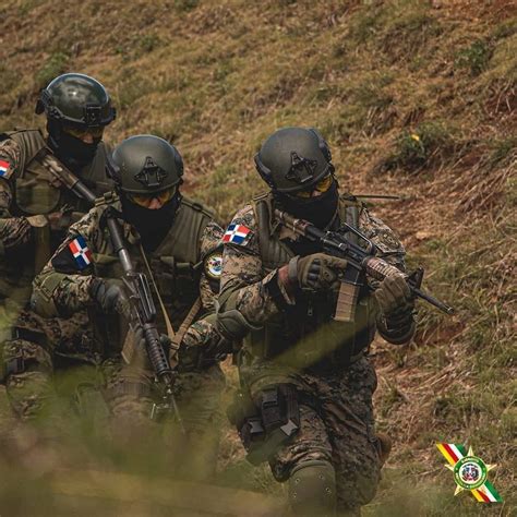 Gobierno dominicano despliega operación Gavión ante situación en Haití El Diario Sur