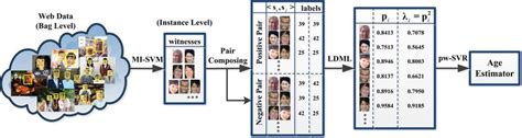 The Whole Flow Diagram Of The Wmir Algorithm 34 The Witness Based