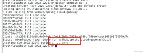 Cve 2022 22947 Spring Cloud Gateway Rce漏洞复现分析 Csdn博客