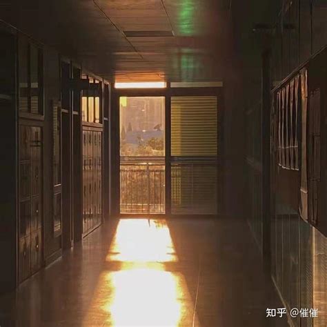 冬季拍照小技巧 知乎