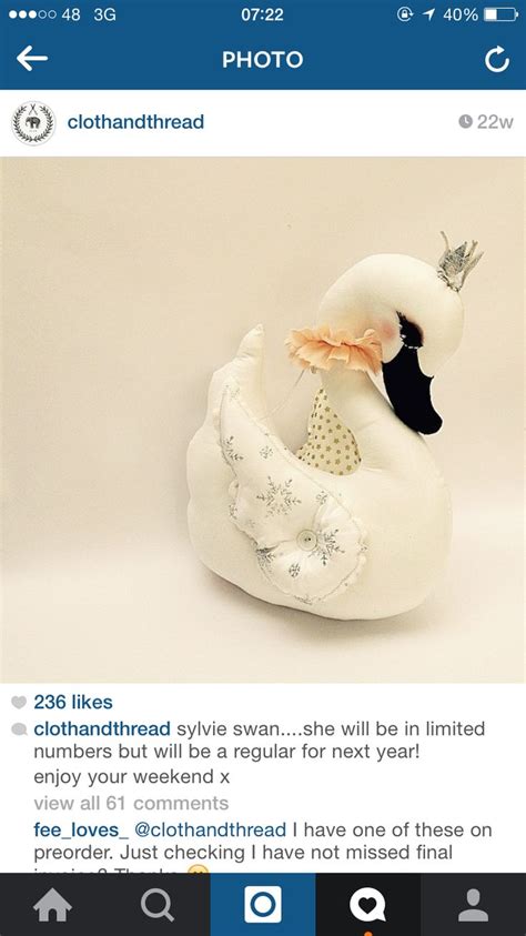 Pretty Swan Pillow Felt Crafts Beautiful Dolls Bird Crafts