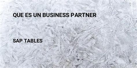 Que Es Un Business Partner Table In SAP