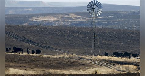 After Three Weeks Texas Largest Wildfire Contained Firehouse