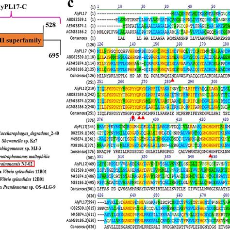 Sequence Analysis Of Alginate Lyase Alypl17 A Module Organization Of